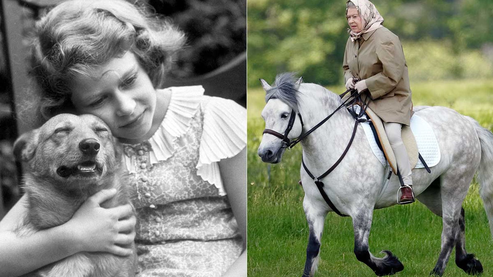 The Queen's passion for animals: Her lifelong love affair with Corgis ...