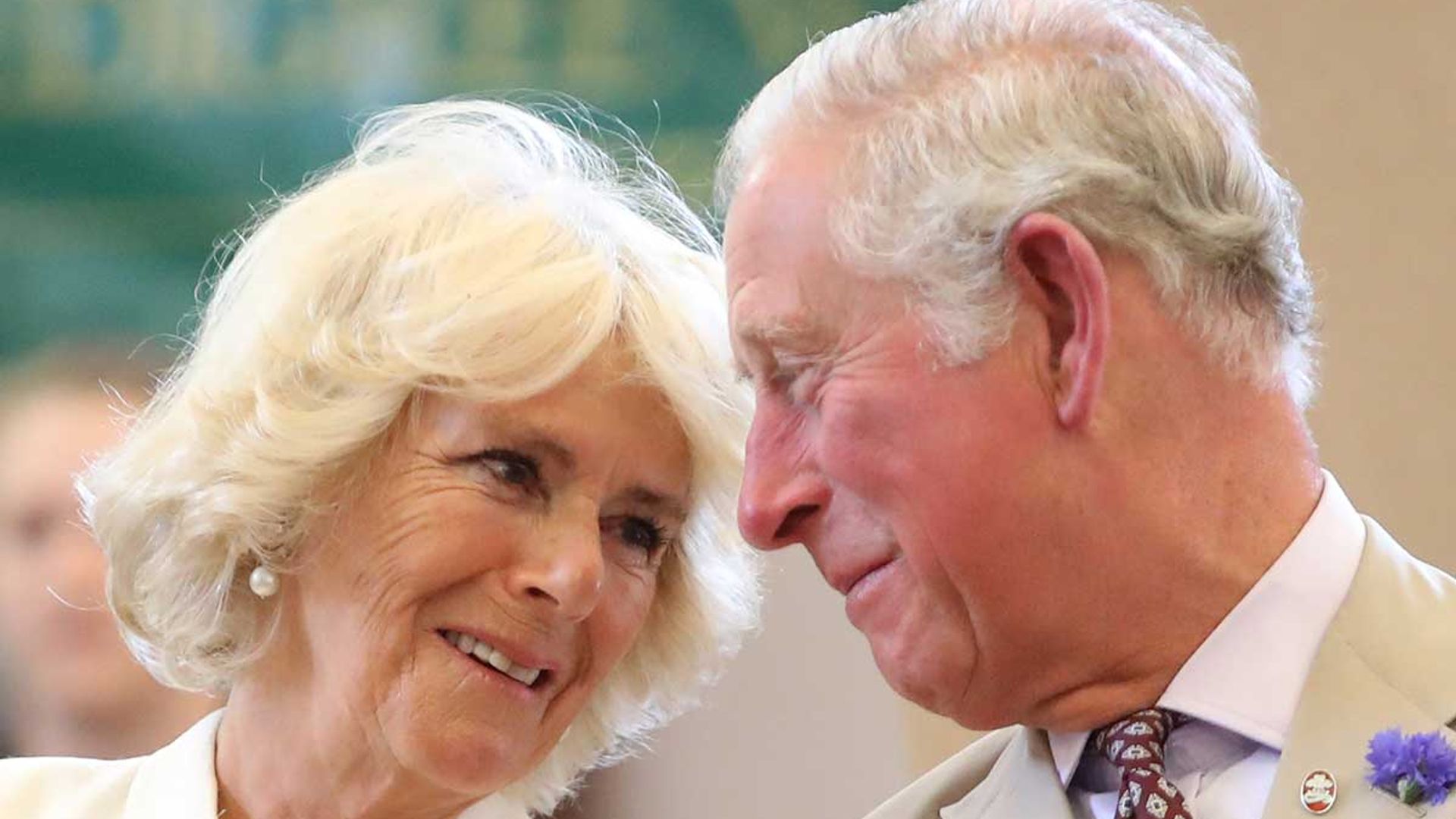 King Charles and Queen Consort Camilla host special festive lunch at Windsor Castle – Live ...