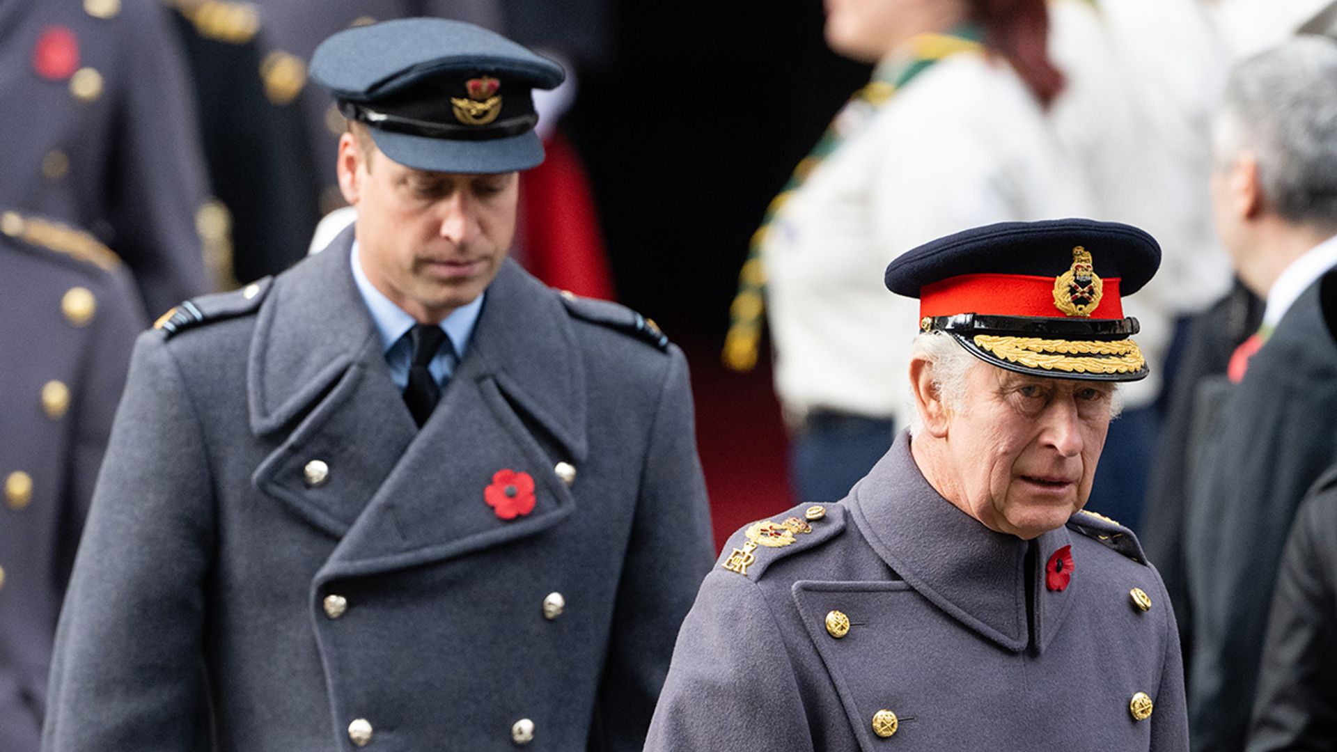 Heartbreak for King Charles and Prince William as family member dies ...