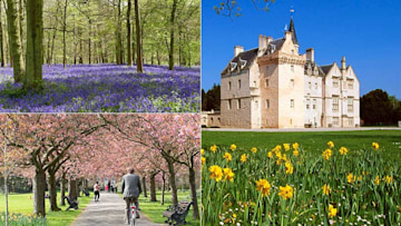 Top 5 spring flower fields and gardens in the UK | HELLO!