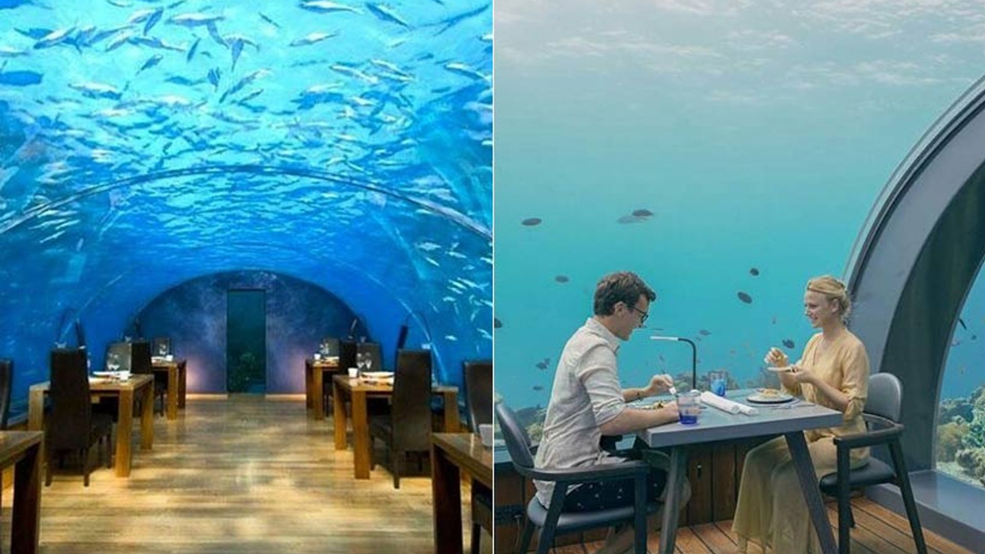 An underwater restaurant has opened in the Maldives – and it looks ...