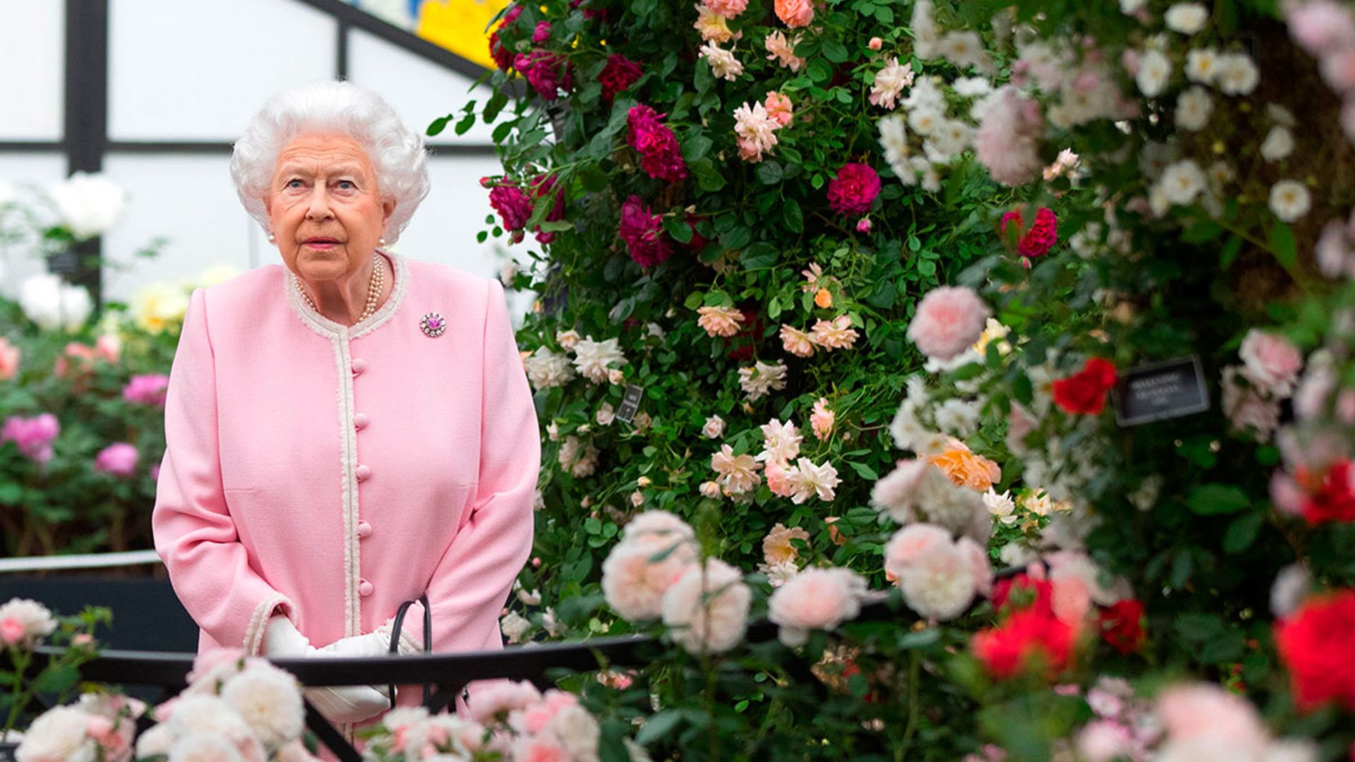 The Chelsea Flower Show 2019: Where is it and how much do tickets cost ...