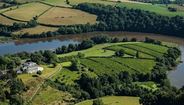 16 best UK vineyards: The perfect staycation idea for wine lovers | HELLO!