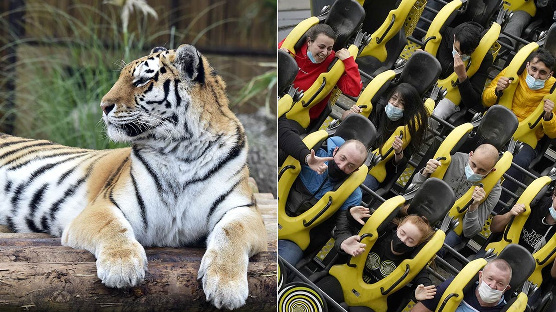 12 April lockdown: family-friendly attractions that are re-opening from ...