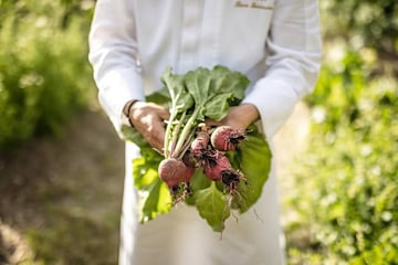 St Tropez: The perfect luxury holiday destination inspired by Beyoncé ...