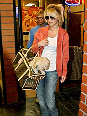 Easy living is in the bag for Jessica's pet pooch | HELLO!