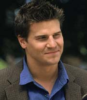 TV HUNK DAVID BOREANAZ WALKS DOWN THE AISLE WITH BLONDE BEAUTY JAMIE ...
