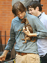 Cameron goes 'under cover' while Ashton has dog day on set | HELLO!