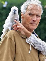 Clint wings it on set of new flick with help of feathered | HELLO!