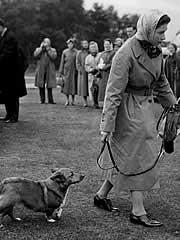 Queen blocks sale of sentimental sketch | HELLO!