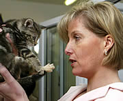 The Countess of Wessex, Wood Green Animal Shelter, Sophie | HELLO!