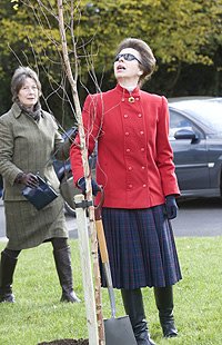 Anne combines age-old duties with modern touches on tree | HELLO!